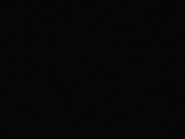 Egger U999 ST89 Black – Tilia